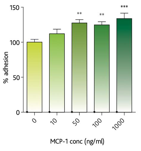 Cardiovascular Atherosclerosis Monocyte Adhesion Chemokines Oxidised LDL