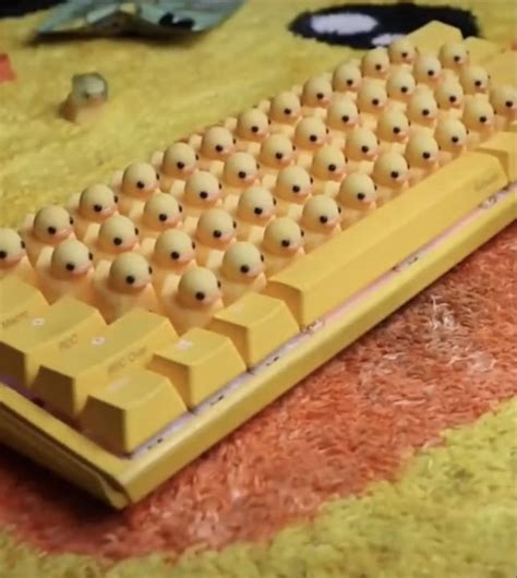 Rubber Duck Keyboard At Max Renwick Blog