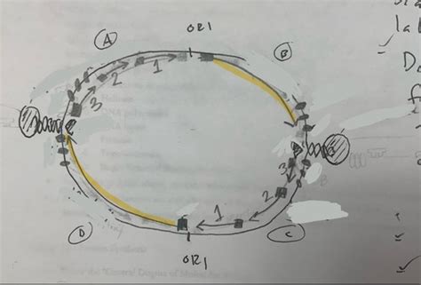 Ap Bio Test Chapter 16 17 Flashcards Quizlet