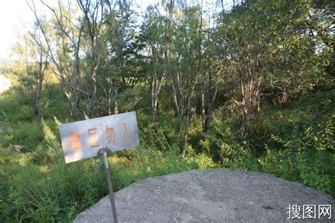 黑龙江 珍宝岛 环境 建筑 植物 树木 搜图网 正版商业图片素材交易平台