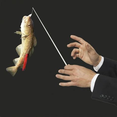 Stream Classical Confusion By Denny Motion Listen Online For Free On