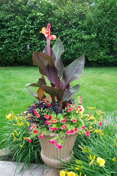 Pin On Outdoor Ideas For The Home