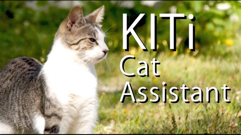 Kiti The Virtual Cat Assistant Parody Youtube
