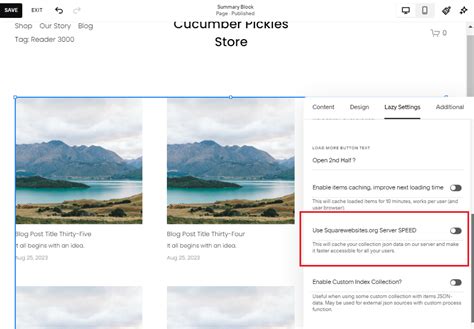 Setting Up Lazy Summary — Squarewebsites Plugins