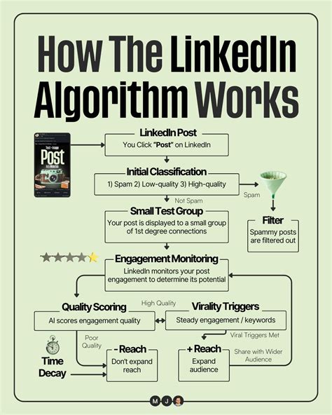 Most Creators Fight The Algorithm Use It To Your Advantage Instead