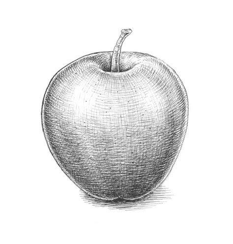 How To Draw An Apple Envato Tuts