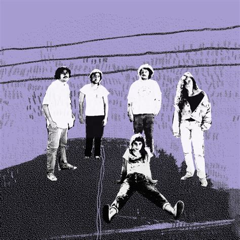 Pelados Mesmasmesmasmesmas Mv Niche Music