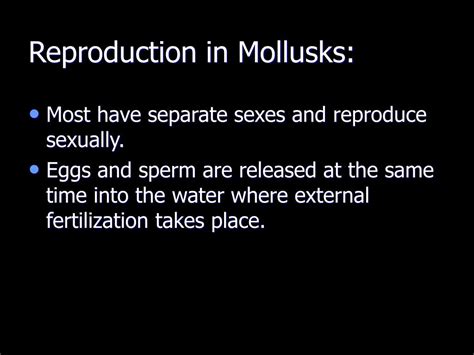 PPT MOLLUSKS PowerPoint Presentation Free Download ID 591390