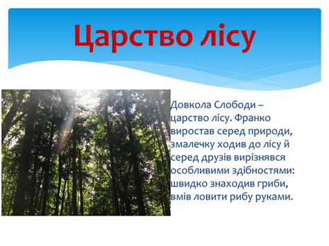 Презентація Дитячі роки Івана Франка з літературного читання для 4 класу на сайті «На Урок