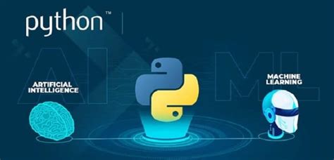 Python là gì Tất cả kiến thức về ngôn ngữ lập trình thông dụng Python