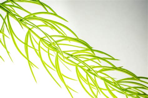 Level Up Your Coding Skills With Python Threading Dss Solutions