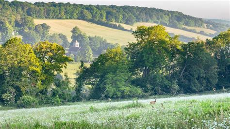 The Conservation Board Chilterns National Landscape
