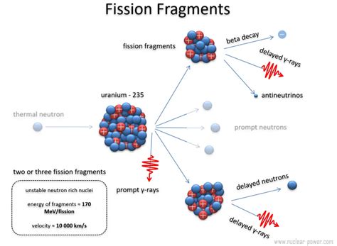 Fission Fragments And Products Definition And Interactions Nuclear