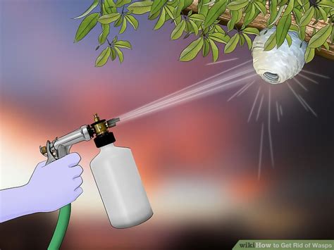 Ways To Get Rid Of Wasps WikiHow