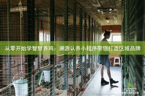 从零开始学智慧养鸡：溯源认养小程序带您打造区域品牌 大牧云