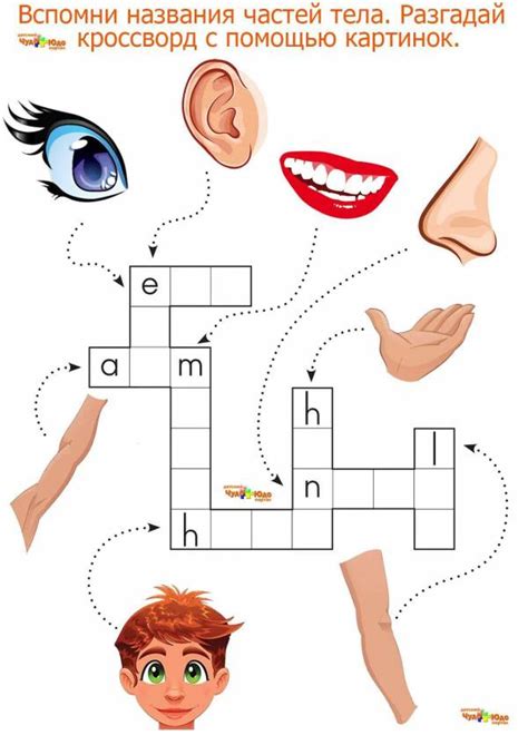 Картинки Части тела на английском для детей 39 шт 13076
