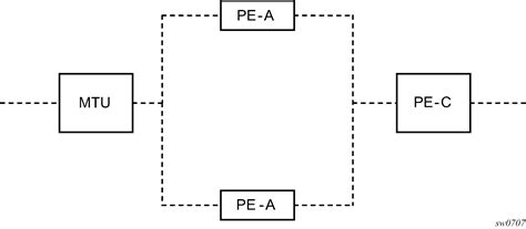 Virtual Private Lan Service