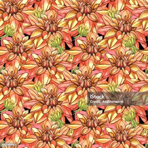 수채화 오렌지 달리아 원활한 패턴 흰색에 고립 된 야생 꽃 세트 식물 수채화 일러스트레이션 오렌지 달리아 꽃다발 소박한 달리아 꽃 가을에 대한 스톡 사진 및 기타 이미지