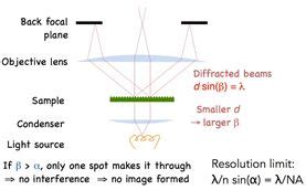 M4 How Diffraction Limits The Optical Resolution Of A Microscope Scientific Imaging Inc