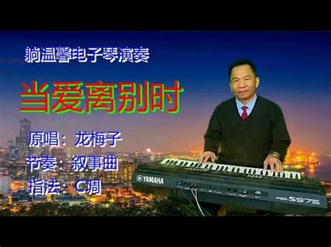 电子琴当爱离别时原唱龙梅子 伤感情歌 好听到醉 YouTube
