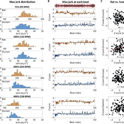 Comparison Of Beat Synchronization Between Rats And Humans During Music Download Scientific