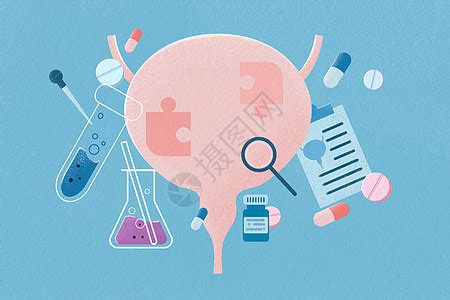 膀胱图片 膀胱素材 膀胱高清图片 摄图网图片下载