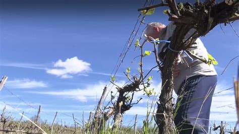 Шампион по еднодневни трудови договори Защо в Монтана има най много сезонни работници Nova