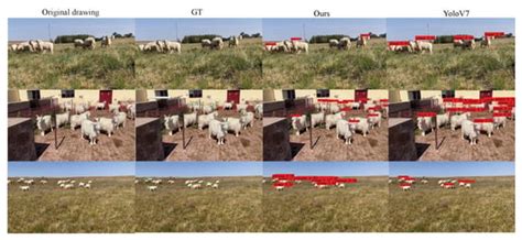 Contextualized Small Target Detection Network For Small Target Goat