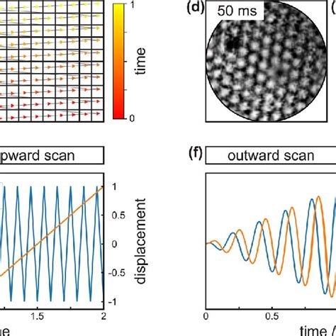 Comparison Of Conventional Raster And Spiral Scan Stm A C Raster Download Scientific