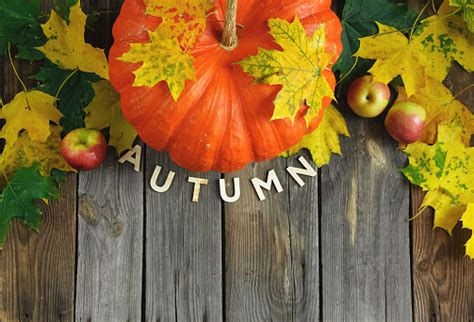 나무 배경에 가을 정물 나뭇잎과 사과와 할로윈을위한 잘 익은 오렌지 호박 테이블에 비문 가을 수확 축제 추수 감사절 복사 공간을 복사합니다 위쪽 보기 10월에 대한 스톡