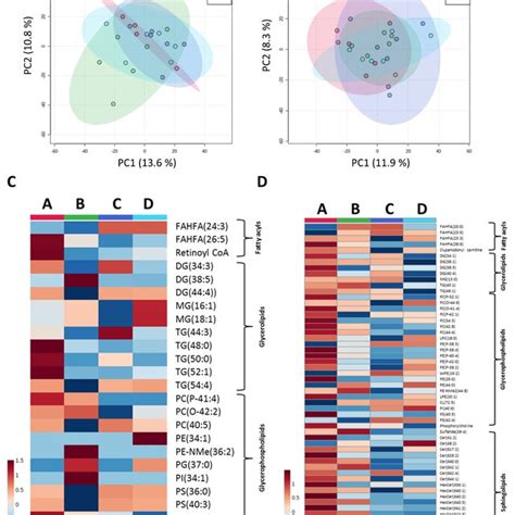 White Matter Wm Is More Affected By Ad Progression Than Grey Matter Download Scientific