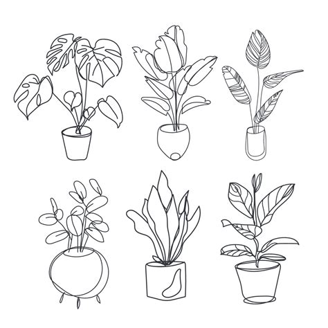 Houseplants Vector Set Of Outline Plants In Pots Indoor Exotic Flowers