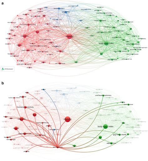 Results Of The Keyword Co Occurrence Network Analysis Clusters Of The Download Scientific