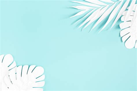 여름 구성 흰색 야자수는 파란색 배경에 나뭇잎입니다 여름 개념입니다 플랫 레이 평면도 복사 공간 0명에 대한 스톡 사진 및 기타 이미지 Istock