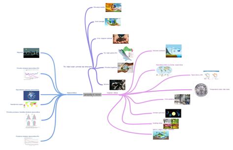 Geografija 6 Razred Coggle Diagram