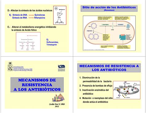 Kanamicina Mecanismo De Accion Farmacos Antiepilepticos