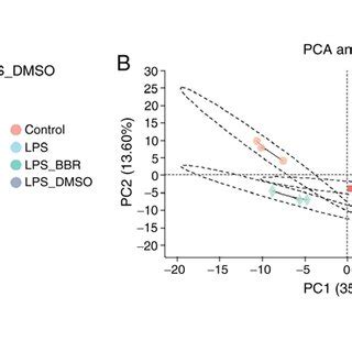Weighted Gene Correlation Network Analysis A A Total Of 32 883 Genes Download Scientific
