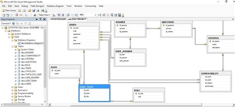 Funcionaliti Specifice Aplicaiei Model Belbin Itransfer