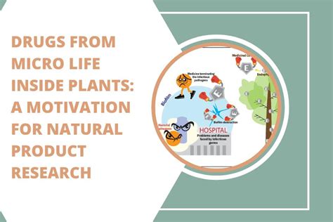 Microbial Drugs In Plants Dr Sanju Singh