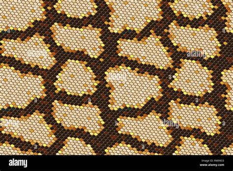 Python Skin Seamless Background On Vector Graphic Art Stock Vector Image Art Alamy