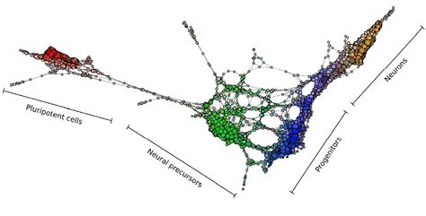 Topological Rna Seq Provides Roadmap For Cell Development Rna Seq Blog
