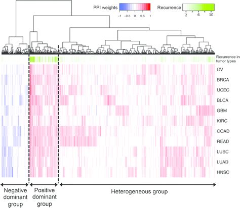 Hierarchical Clustering Of The 1008 Edges In The Discovery Set Three Download Scientific