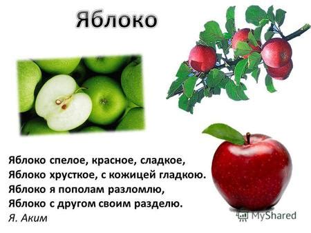 Презентация на тему: "Яблоко спелое, красное, сладкое, Яблоко хрусткое ...
