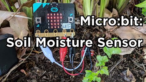 Micro Bit Soil Moisture Sensor Tutorial Australia