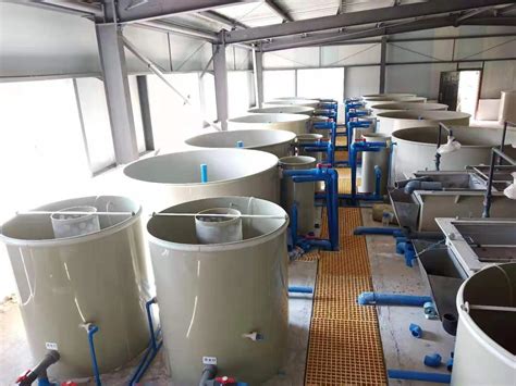 云南昆明室内循环水养殖鱼苗项目 广州环控农业生物科技有限公司