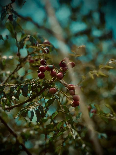 Prabhdeep Kaur On Linkedin Photography