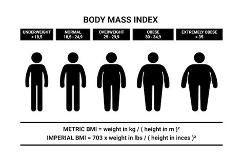 Stick Figure Man Body Mass Index Formula Vector Illustration Set Person