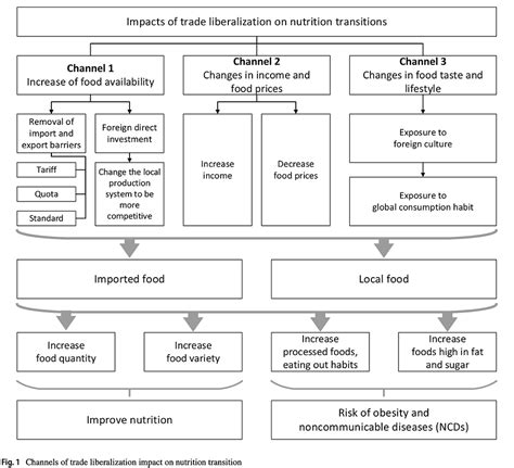 Trade Liberalization And Nutrition Transition How Export Influences Households Macronutrient