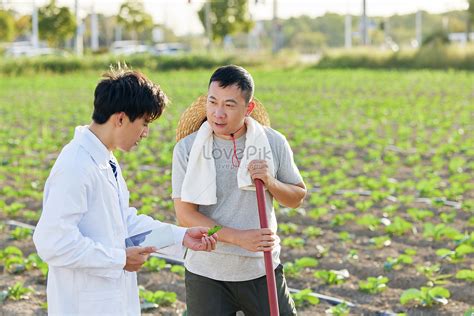 만화 채소밭 이미지 사진 및 Png 일러스트 무료 다운로드 Lovepik