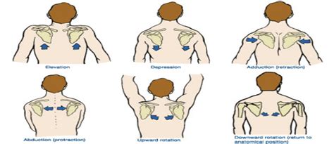 Thoracic Outlet Syndrome Dr Mahmood Ahmad
